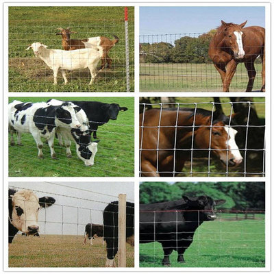 China farm wire fence for sheep and goats wire mesh cattle farm fence/horse Woven Hinge Joint Wire Mesh Fence supplier