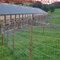 Cattle Farm Fence/best farm fence/stock fencing prices/board fence/farm rail fence/wire fence posts/fence cow supplier