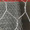 chicken wire netting /chicken wire/chicken wire fence/hex mesh/hexagonal wire mesh/rabbit wire 1/2 inches supplier