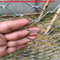 Stainless Steel Aviary Mesh or Zoo mesh /Aviary wire mesh/stainless steel rope net/wire rope manufatures supplier